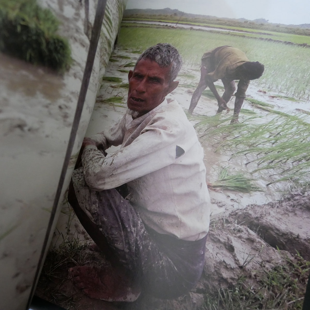 Stateless Rohingya...Running on Empty – Amnesty Shop Thailand